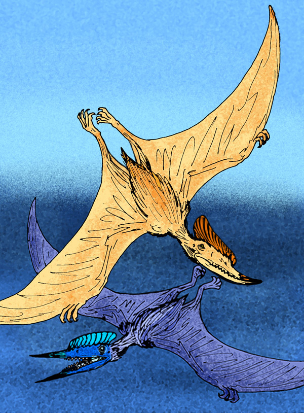 Info Hewan Tumbuhan Prasejarah: Dsungaripterus, si reptil terbang Asia