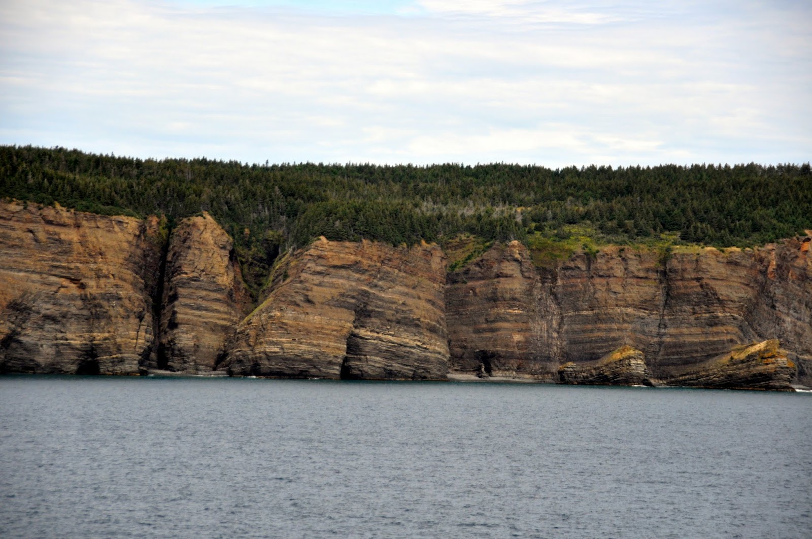 Wok N Roll with us...Bob and Teri Along with Atlas and Kalani: Bell ...