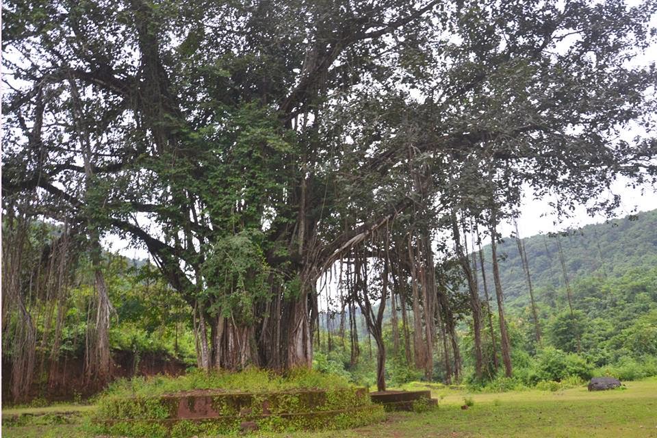 चिवेली गाव (Chiveli Village)