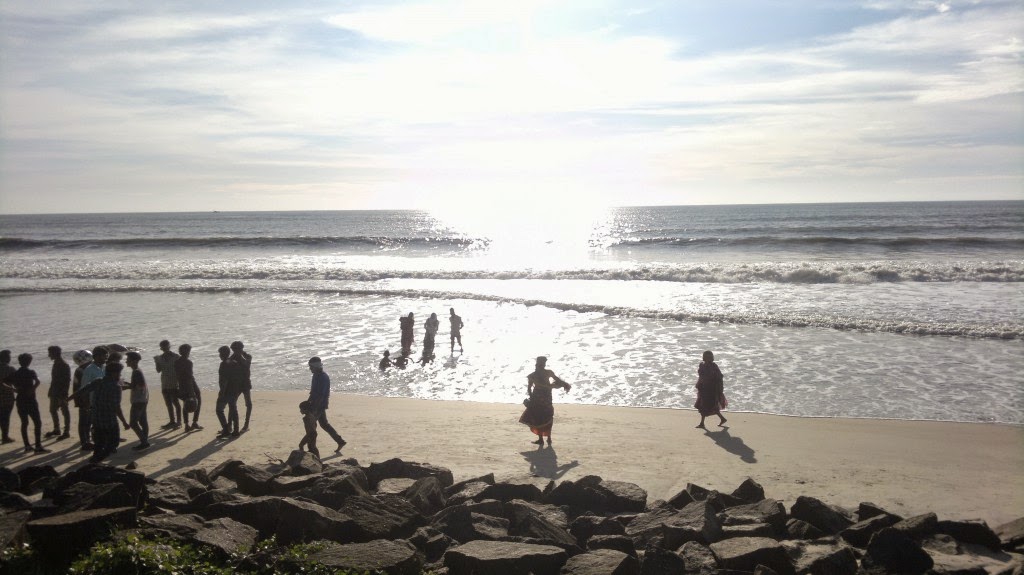 chellanam: Chellanam harbour