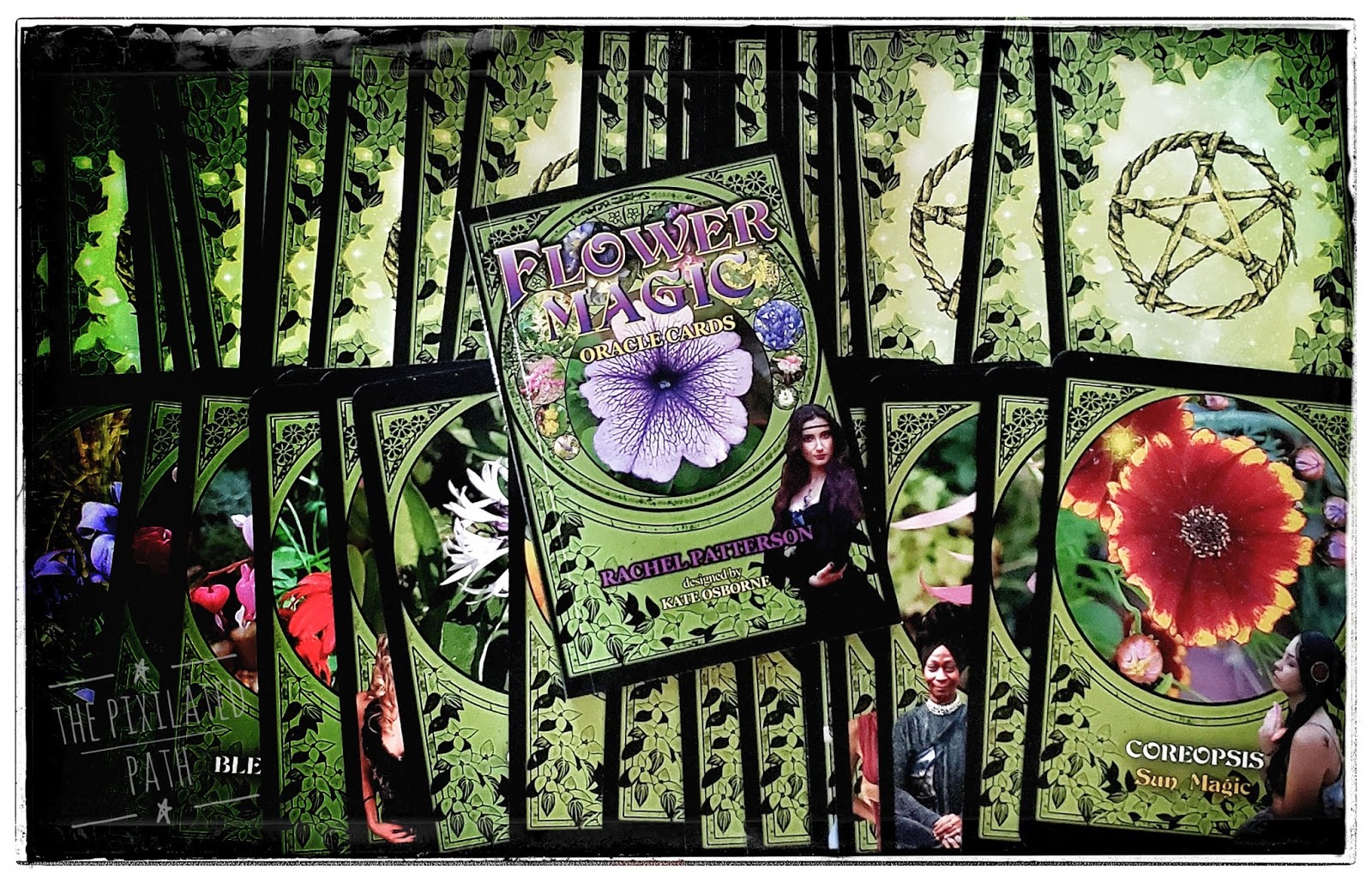 Pixie Card Review: Flower Magic Oracle Cards by Rachel Patterson