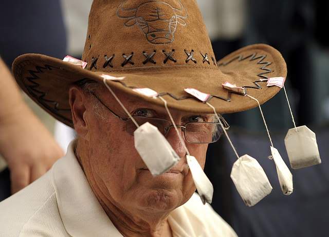 Ponderings of a Pothead