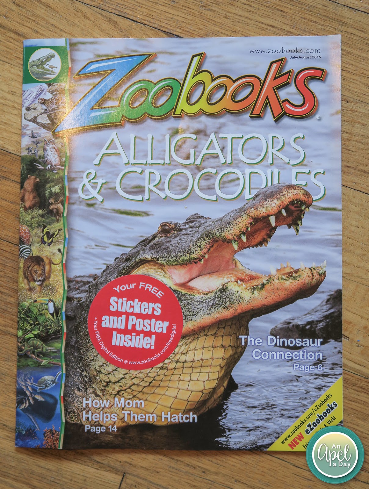 An Apel a Day: Zoobooks Magazine Review