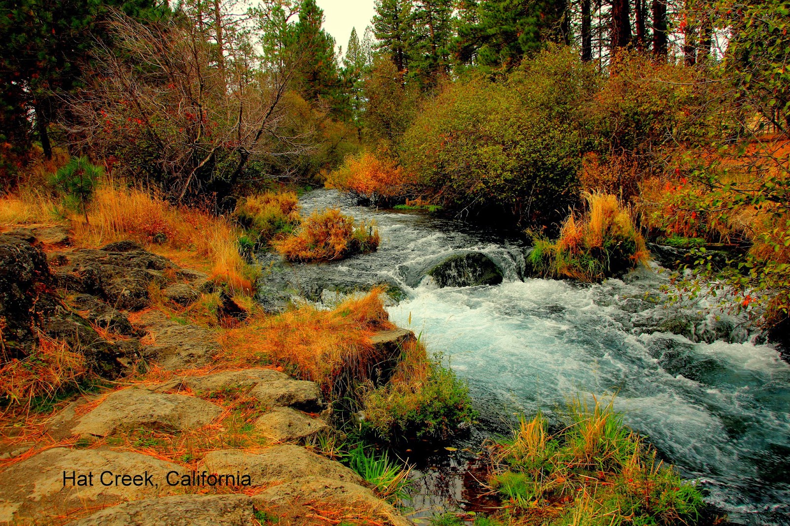 2 Old Broads on the Road: Autumn in Northern California