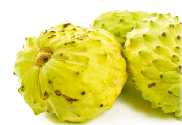 FRUTAS BRASIL: Atemoia, As Plantas Curam