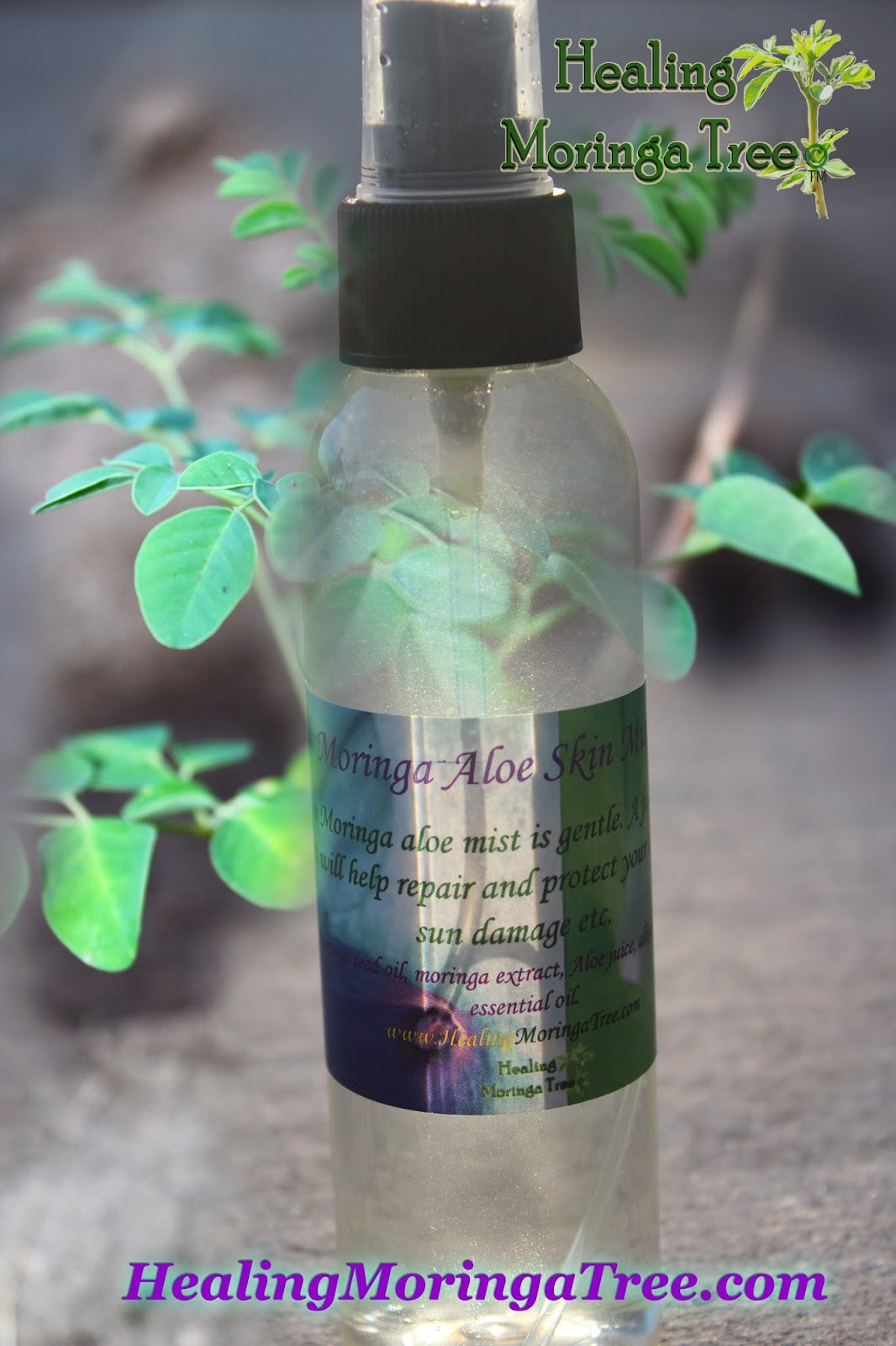 Healing Moringa Tree: Moringa aloe facial mist!