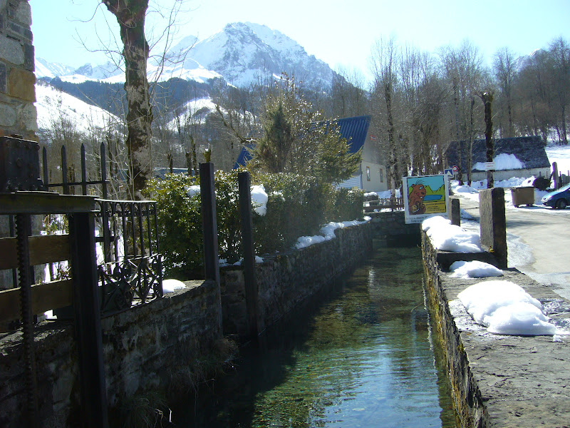 Babone 5GO: Comme un poisson... dans l’eau