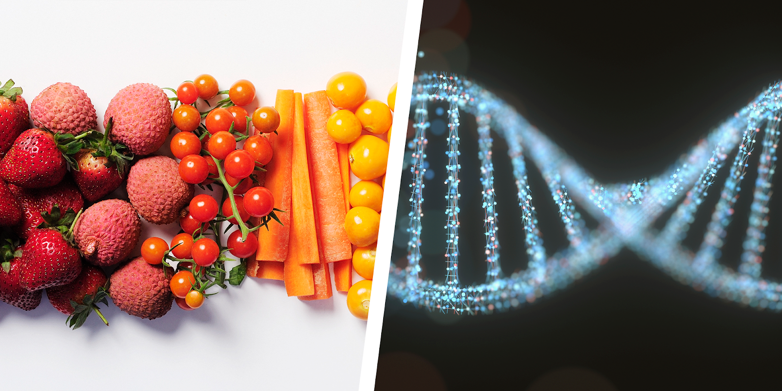Safe Harbour Wellness: DNA Nutrigenomic Testing in USA: Lose Weight ...
