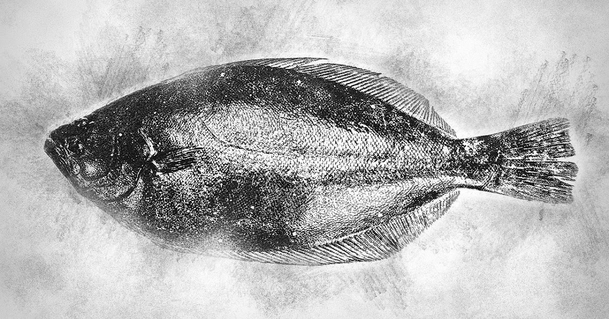 Sterke jaarklassen voor platvis, kabeljauw in de problemen - Waternieuws