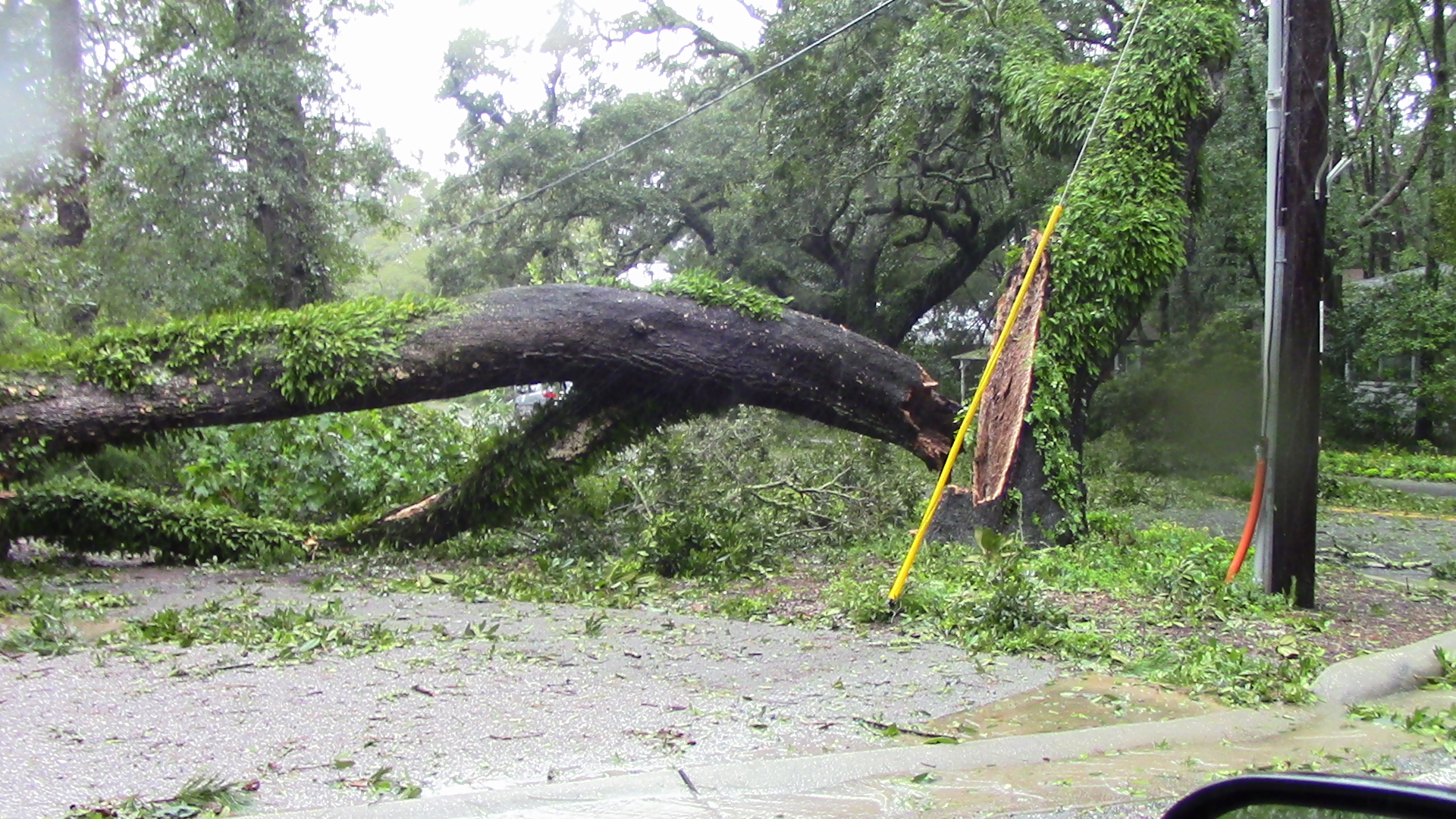 Knoll Park's Different Look After Sally