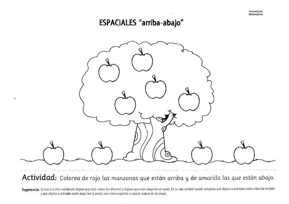 Conceptos espaciales: arriba-abajo | Sentir, Descubrir y Aprender