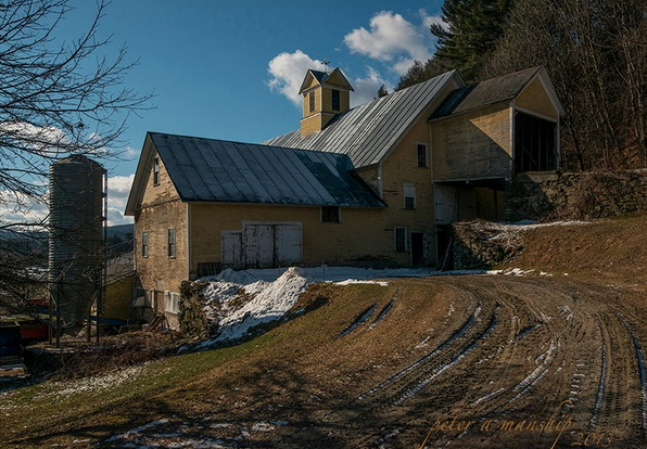 Wit's End: Mass Extinction...a Burgeoning Meme