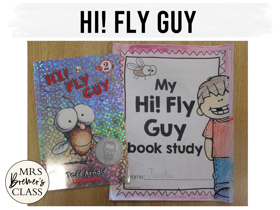 We LOVE Fly Guy! | Our Hi Fly Guy Book Study Activities | Mrs. Bremer's ...