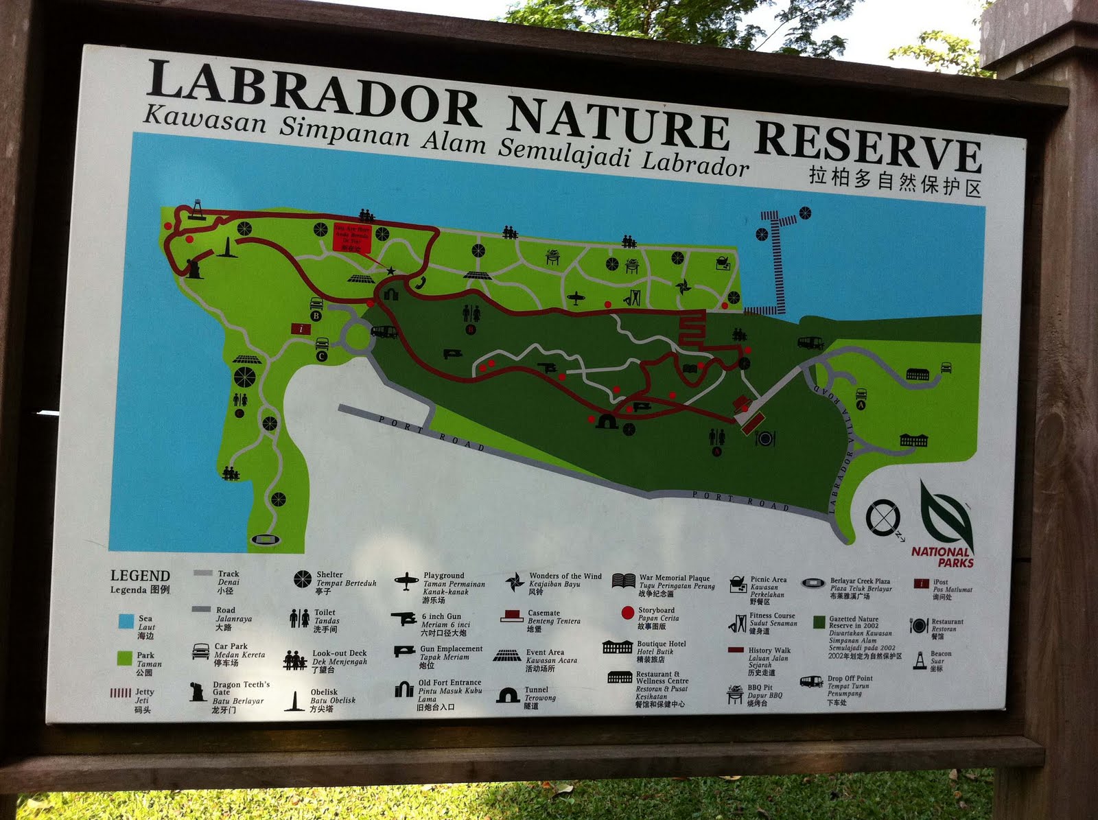Sunny Fantasy: Labrador Nature Reserve