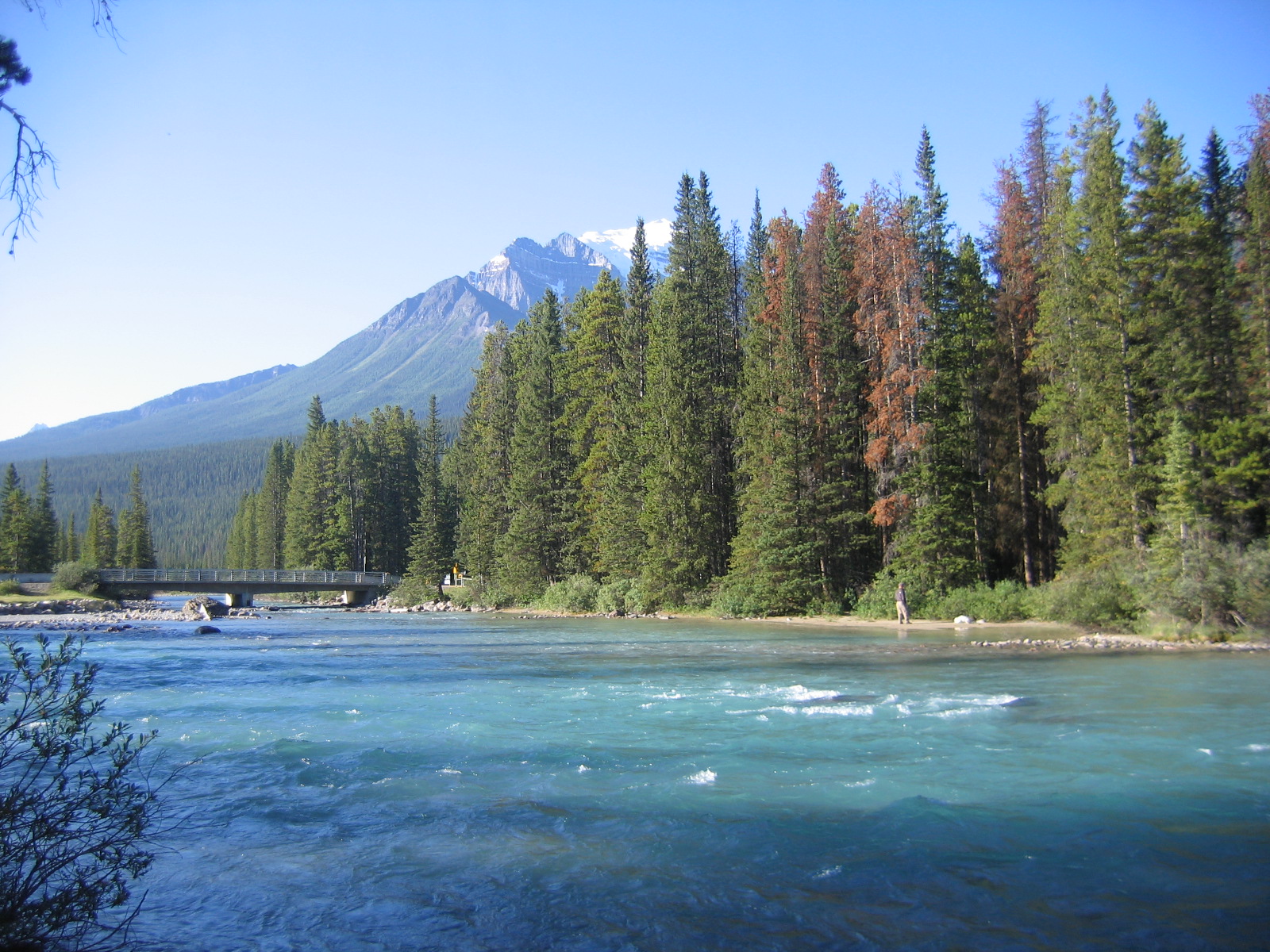 Wanderlust: Banff National Park: Bow River Loop Trail