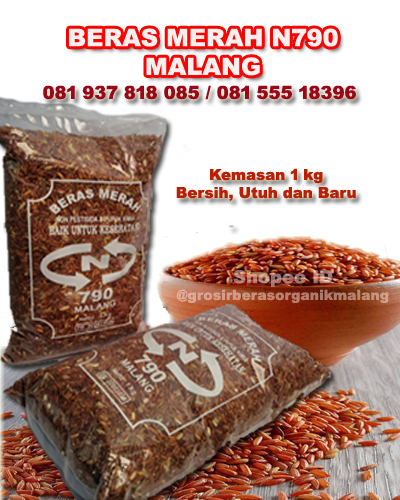 Jual BERAS Organik Malang l BERAS MERAH Organik Malang l Beras HITAM ...
