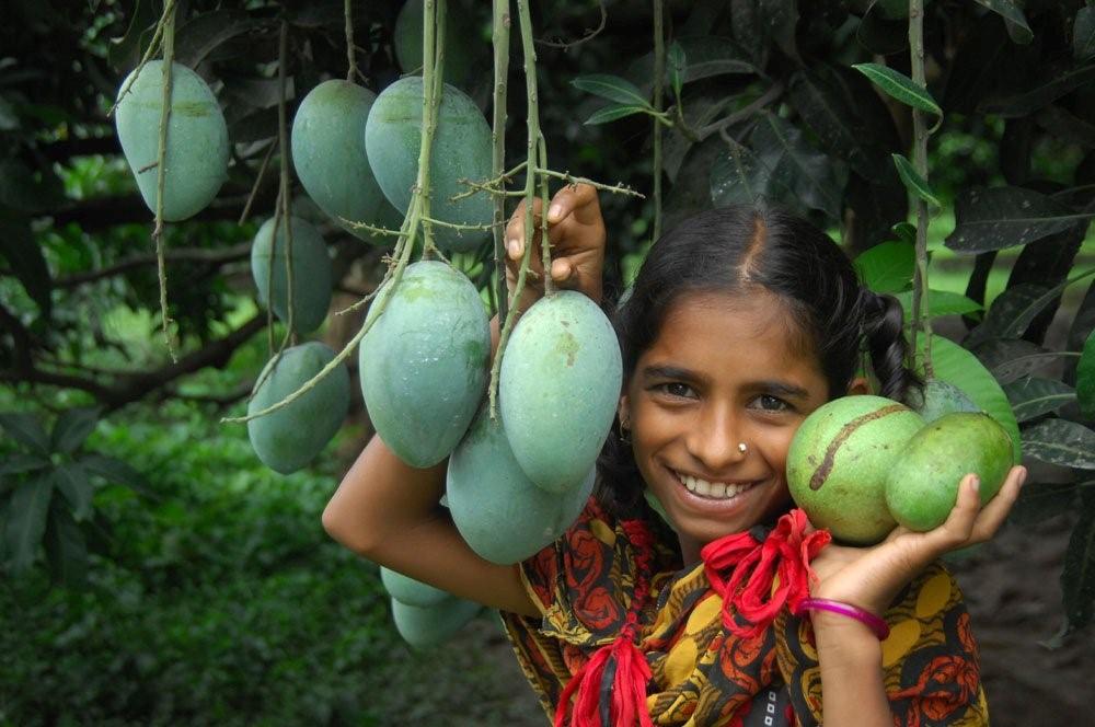 Mozahedul Islam's blog: Mango Of My Country Bangladesh