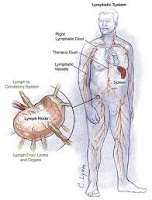 Health News: Lymphoma Cancer