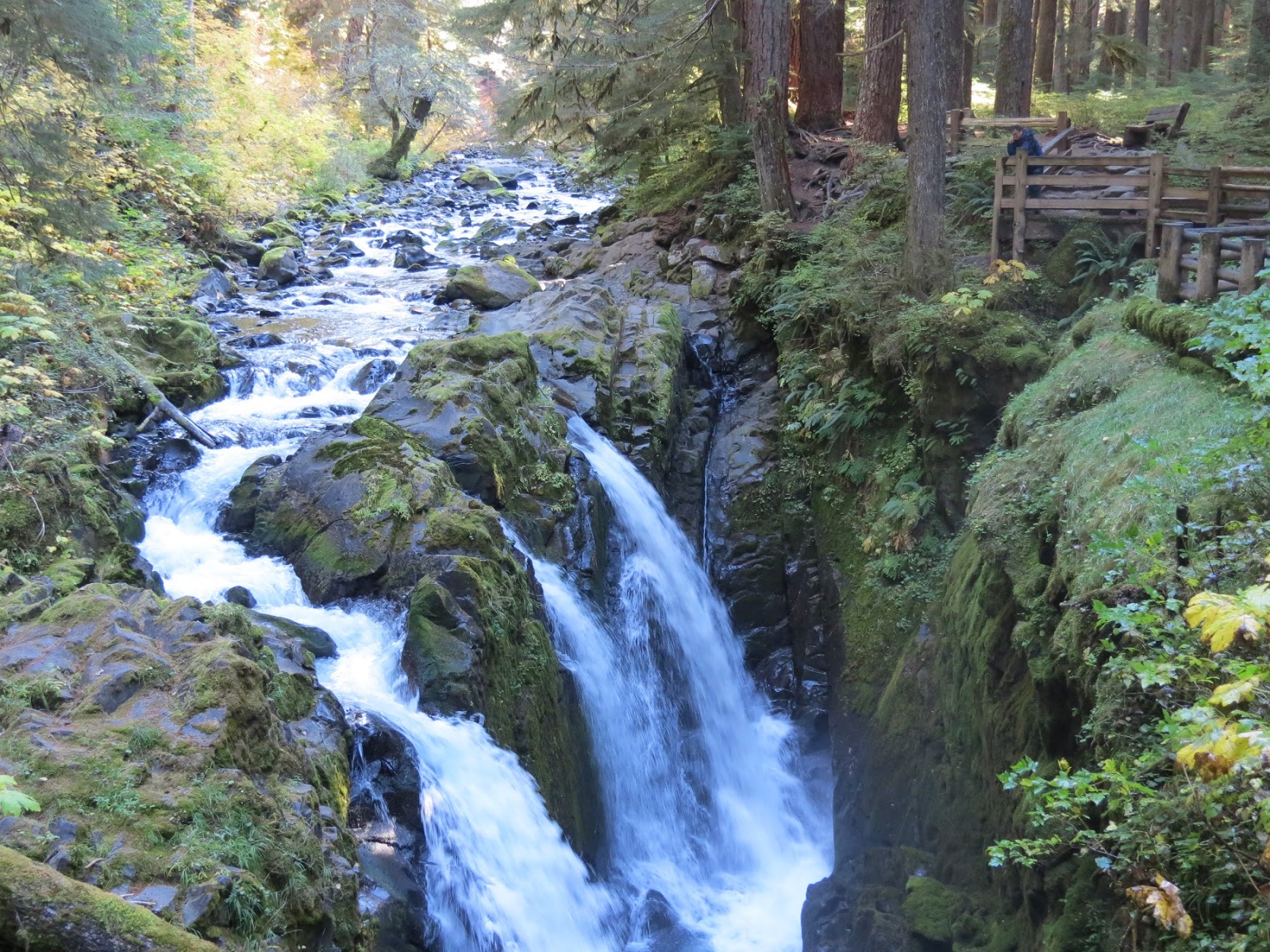 Viewing nature with Eileen: Lake Crescent & Sol Duc Falls