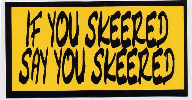 Never a Dull Moment: If You Skeered...