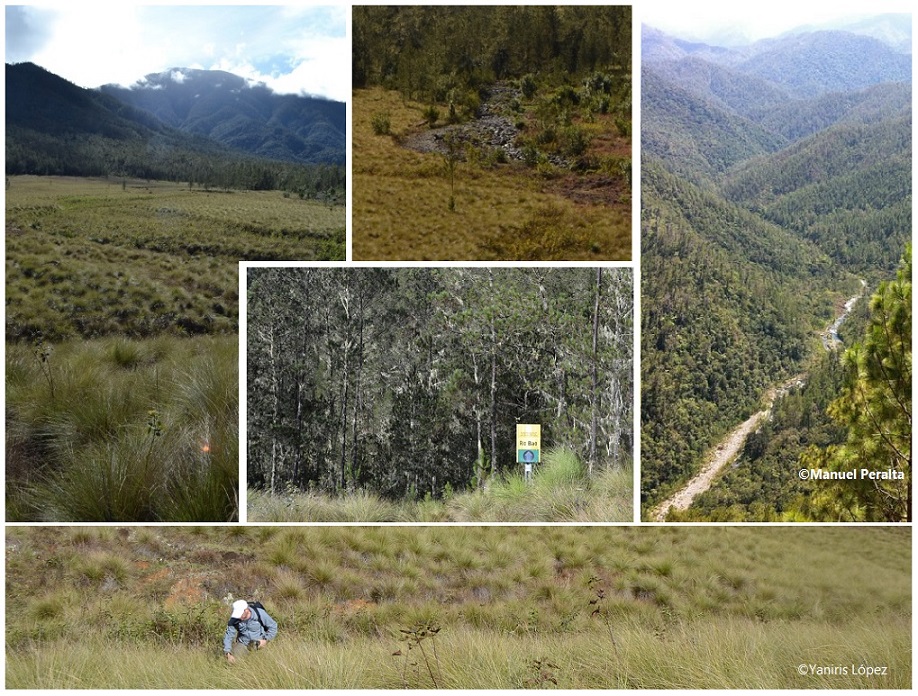 Ningún lugar está lejos... en RD: ¿Bao o Tetero? Dos valles ‘para ...
