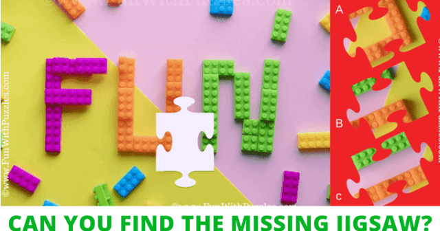Visual Puzzles for Kids With Answers