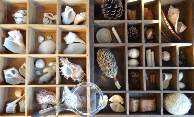 Inspired Montessori and Arts at Dundee Montessori: Nature Boxes