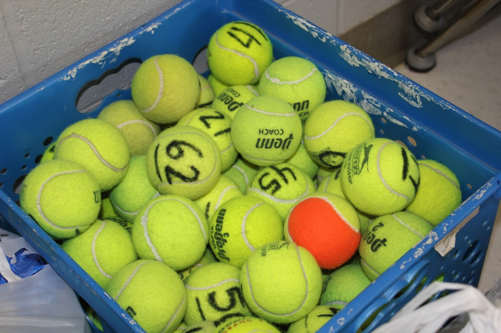 The Kinder Monster: Mr. Howse's Camping Classroom Tour