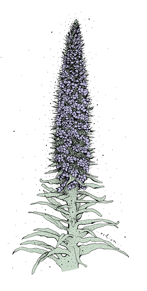 El Hurgador [Arte en la Red]: Kerry Lemon [Ilustración]