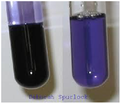 Pengertian, Jenis, dan Analisis Karbohidrat dalam Makanan