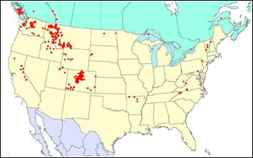 The Dish on Fish: Tenacious Trespasser #1: Didymo