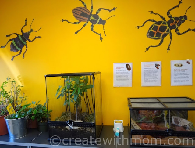 Create With Mom: The Entomica Insectarium in Sault Ste. Marie