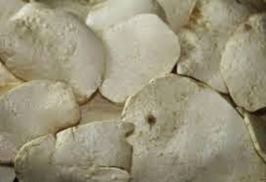 Tepus Somorejo: Budidaya Tanaman Gadung