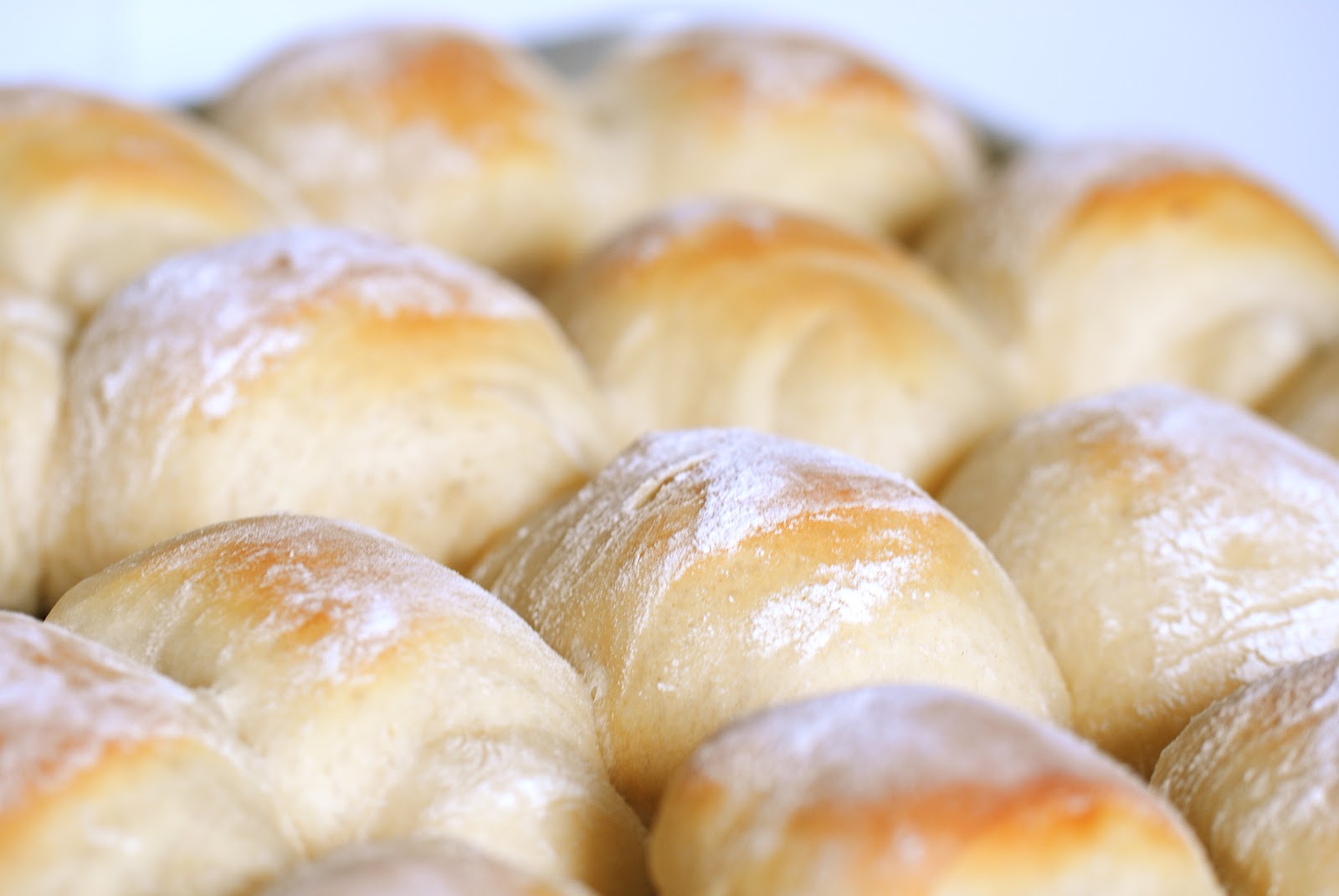 m a x + l u l a c o o k: Dinner Rolls