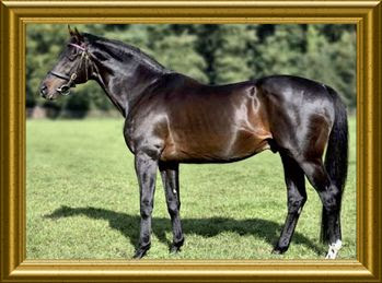 FAMOUS RACEHORSES: Monsun - Farewell to a great sire