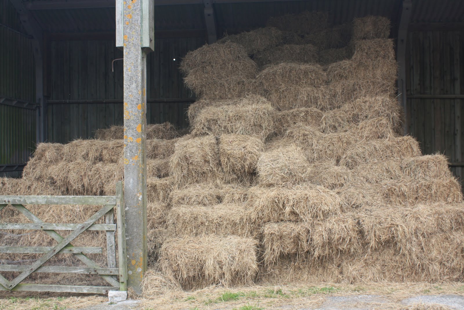 Bosavern Community Farm: Small bales of hay for sale.