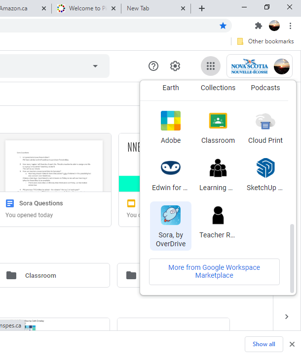 NNEC Library: Sora - Now Available on your GNSPES launch page.