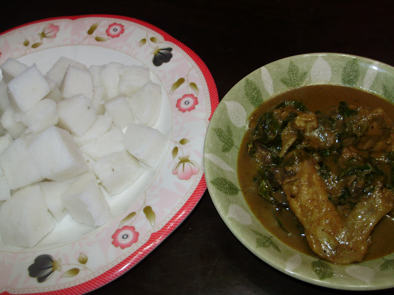 Neeja Shamiza: Nasi Impit Rendang Ayam