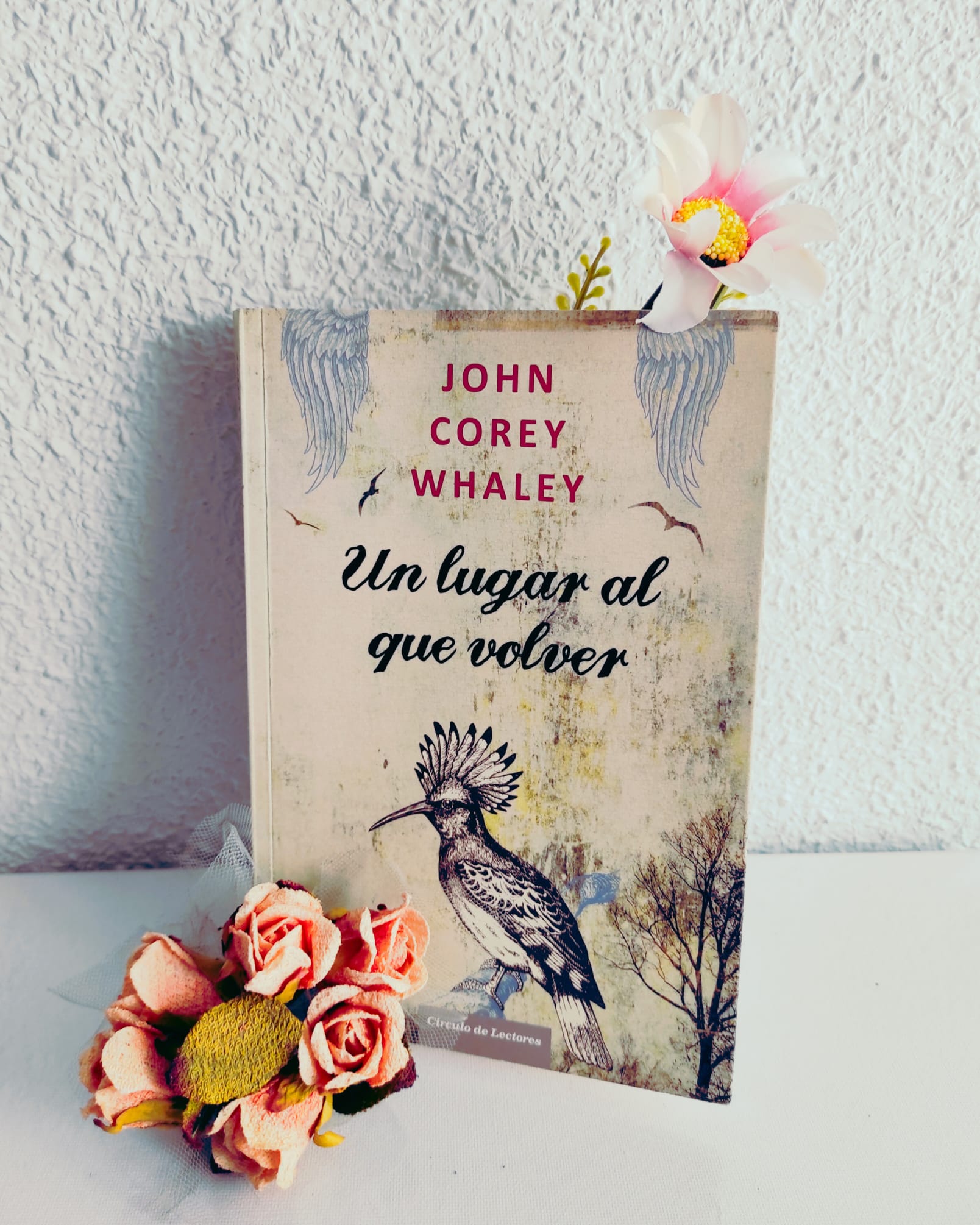 Un Lugar al que Volver - L