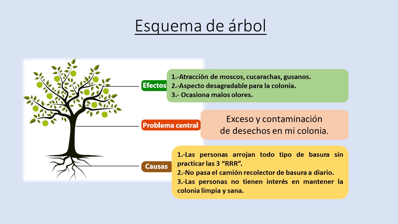 Sirena Copo Line: Actividad integradora Fase 2 Diagnostico Causas y consecuencias módulo 22