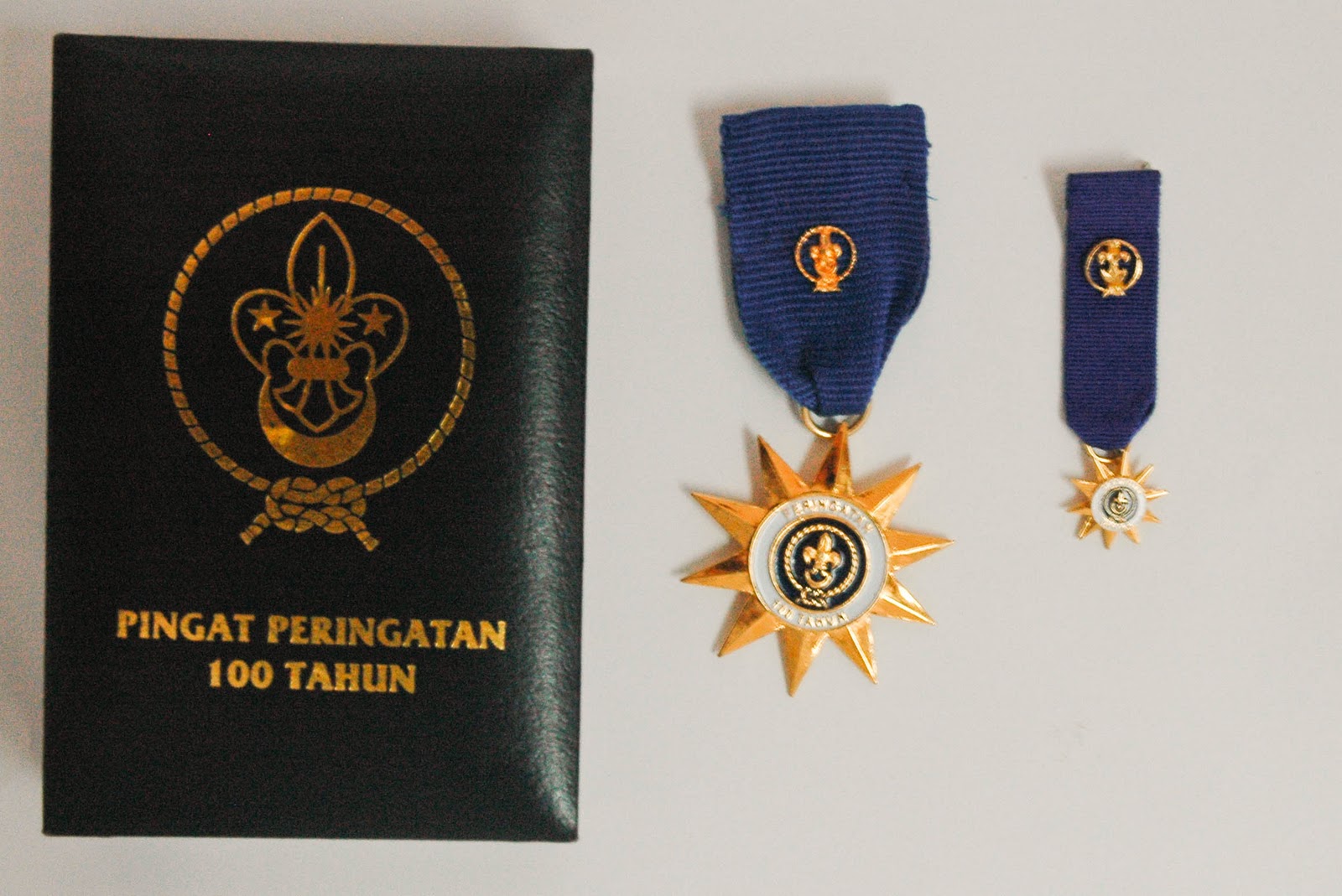 My Life's Journey as a Volunteer: Pingat yang diterima pada tahun 2010 ...