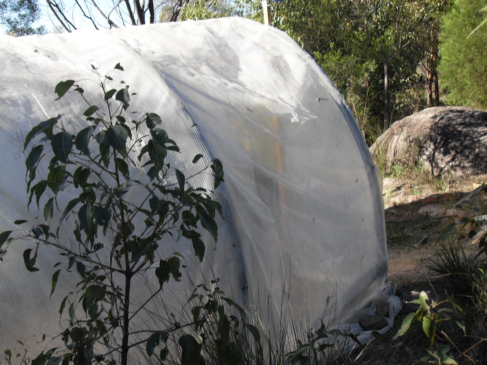 Crafty Carols Crafty Adventures: Make your own hot house