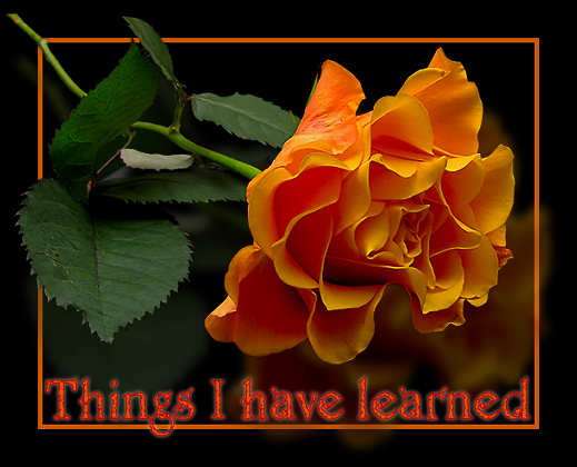 Things I Have Learned and lot to Learn ~ Life Quotes and Sayings