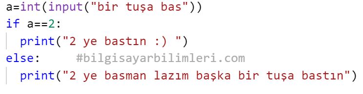 MUSTAGOR : PYTHON ÖRNEKLERİ