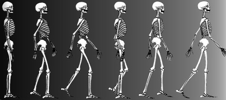 Matt Blodgett: Start with a Walking Skeleton