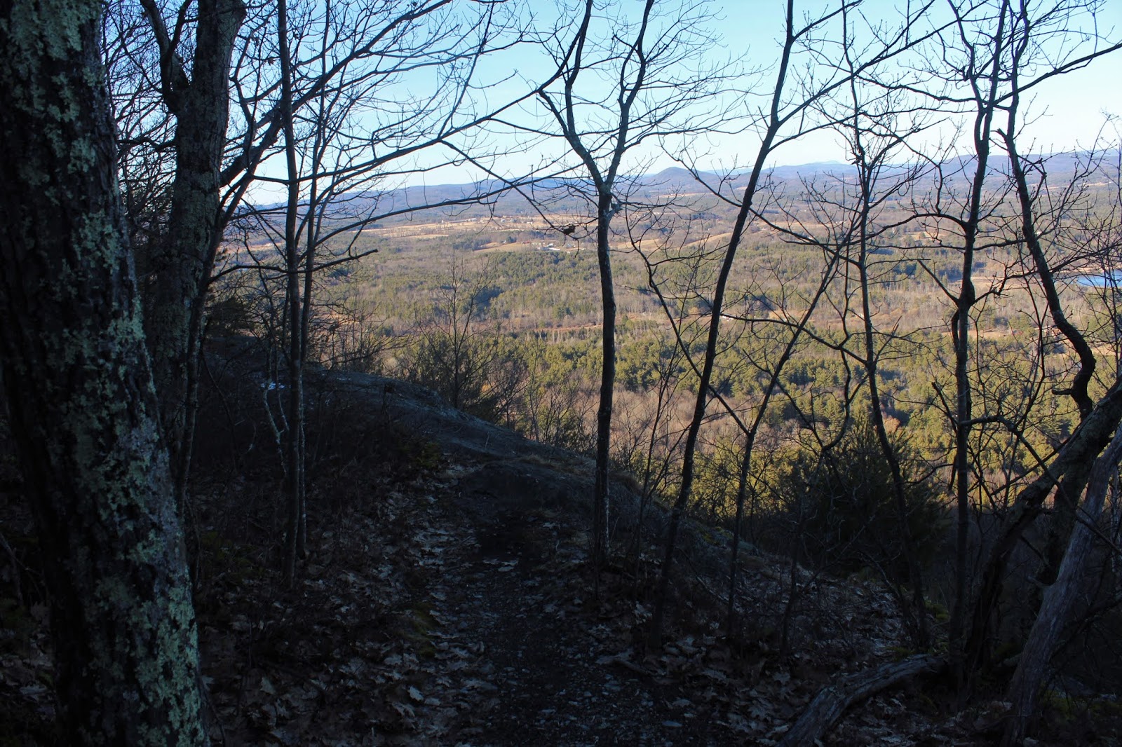 Walking Man 24 7: Jug End(Southern Berkshires)