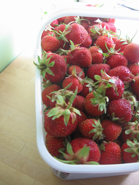 sweetsugarbean: Strawberry Shortcake and Foxy Ladies