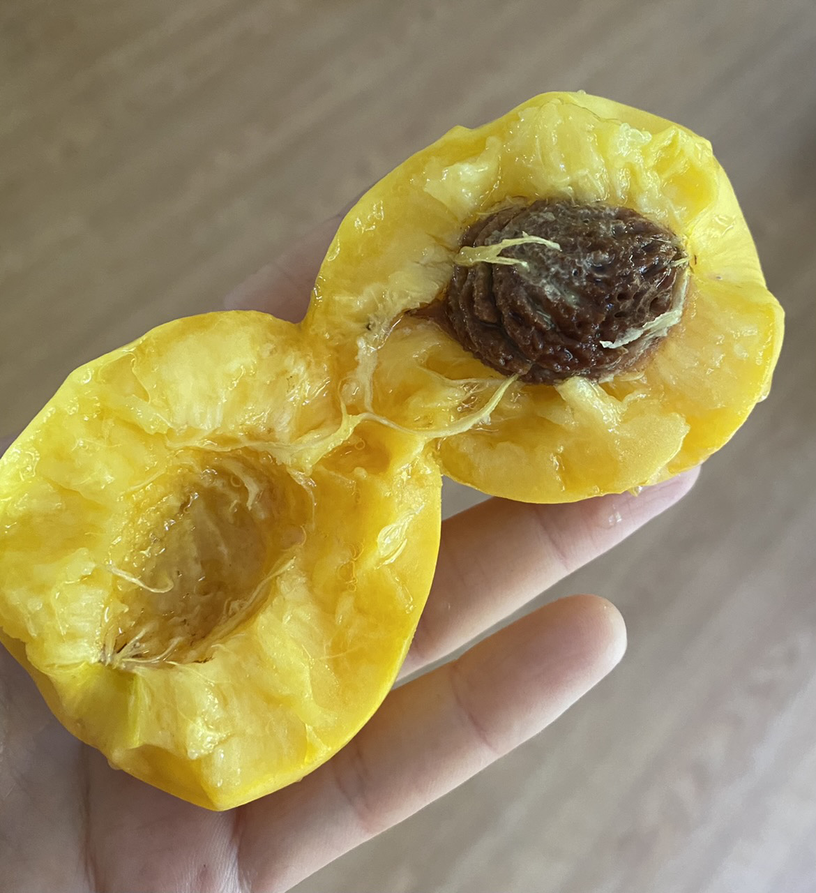 Gardening : Samarkand Gold Nectarine