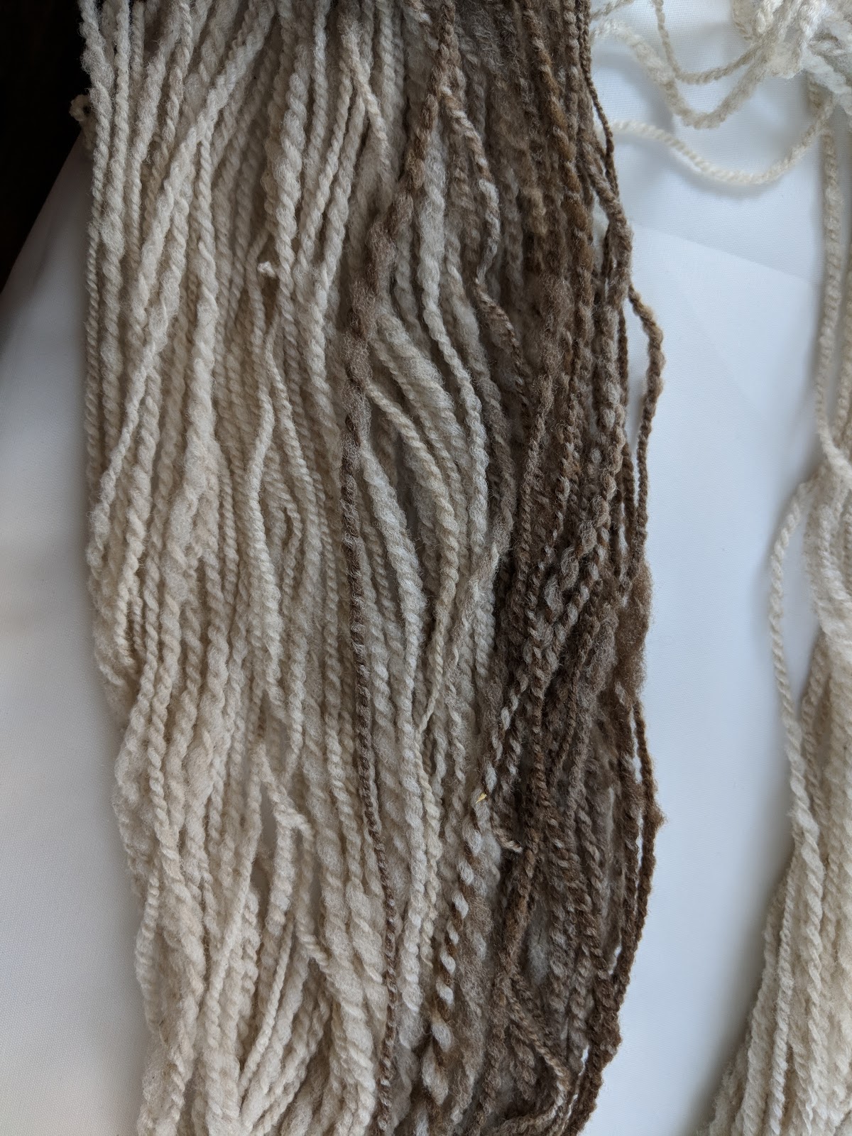 Whispering Pines Farm Registered Shetland Sheep: Gradient yarn from ...