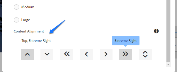 Experiencing Adobe Experience Manager (AEM, CQ): AEM 6550 - React Type ...